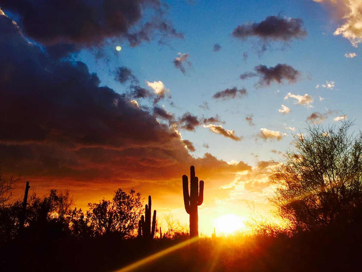 Good morning! Another beautiful Arizona day is ahead! | FOX 10 Phoenix ...