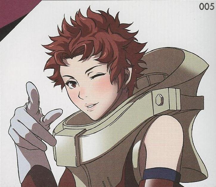 Fire Emblem Awakening Sully