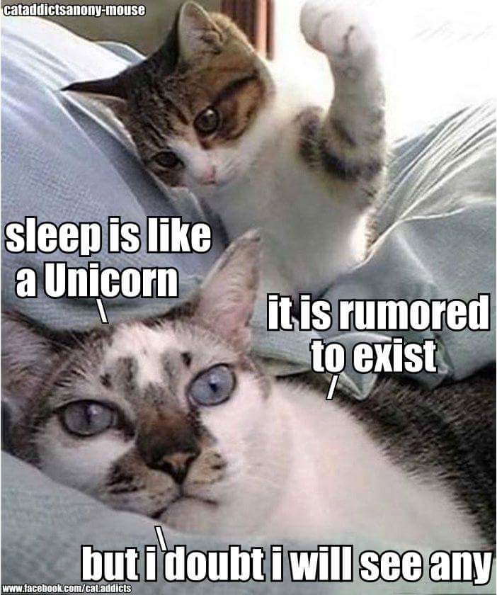 Who Needs Sleep Anyways