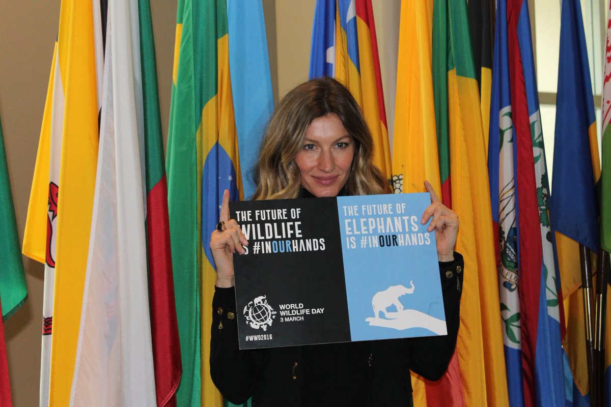 rywolf (@ryannwolf) | Twitter