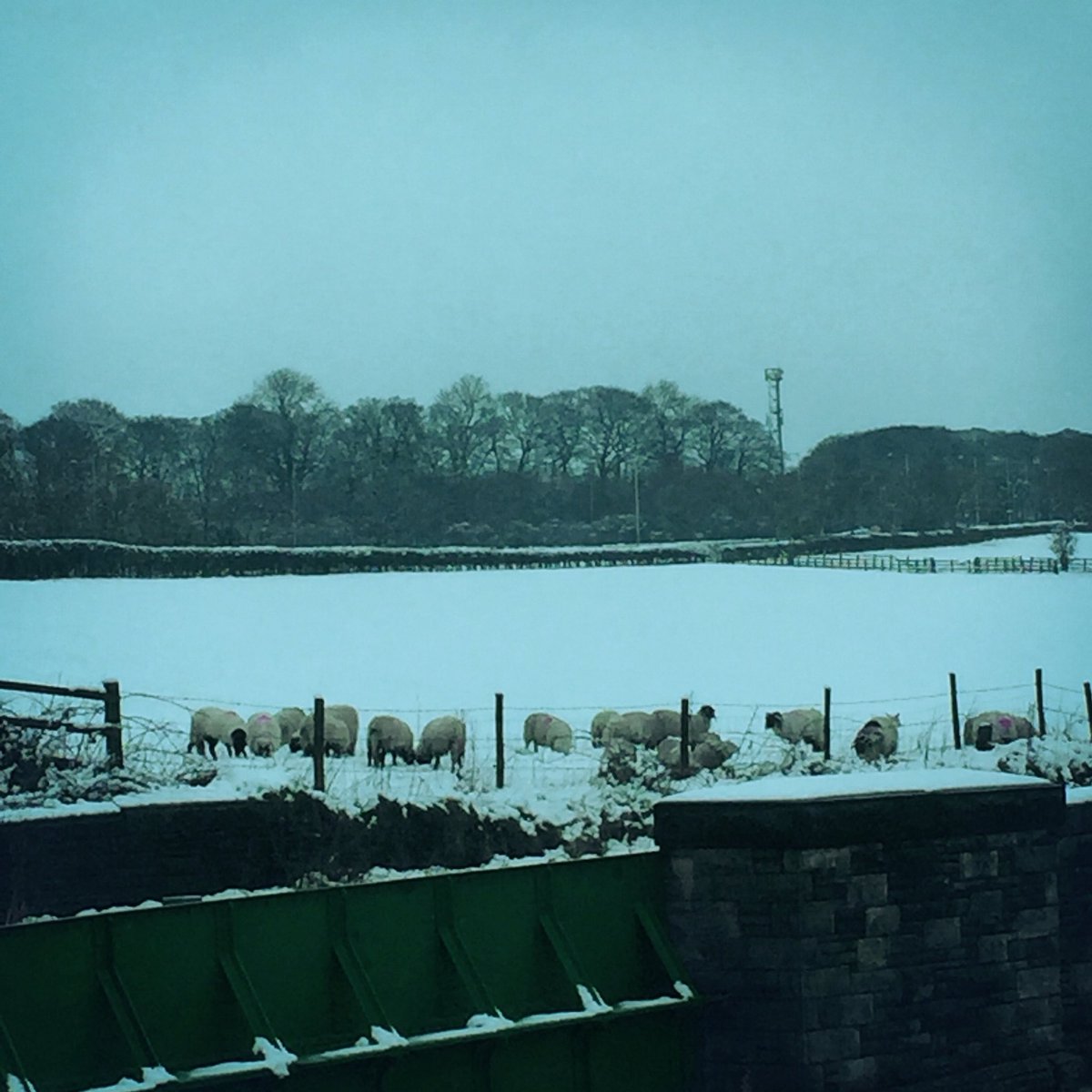 Cleanbright Services (@cleanbrightltd) | Twitter