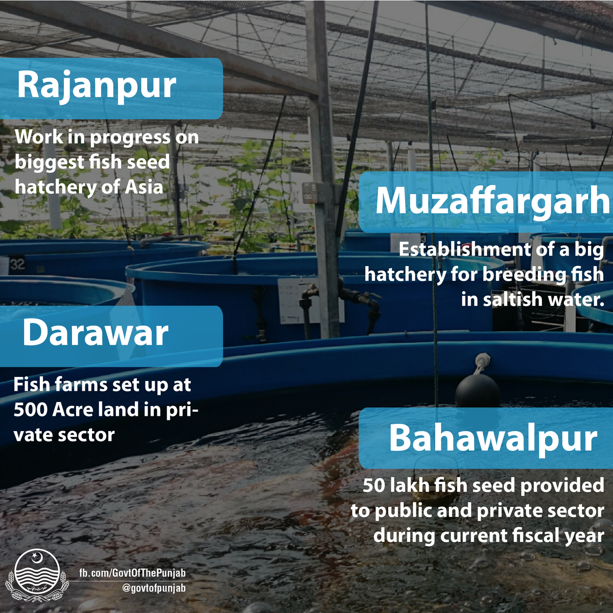 Punjab setting up 'biggest fish seed hatchery of Asia | Siasat.pk Forums