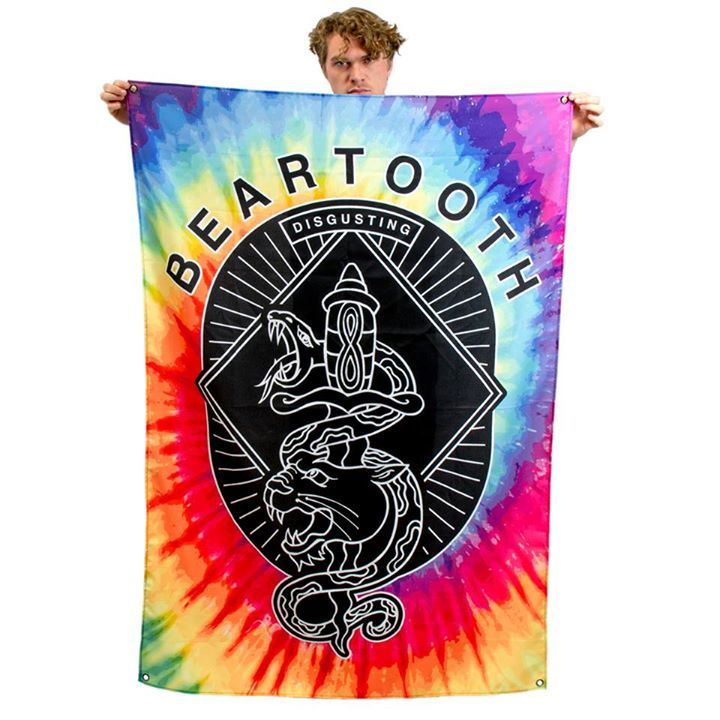 Beartooth Disgusting