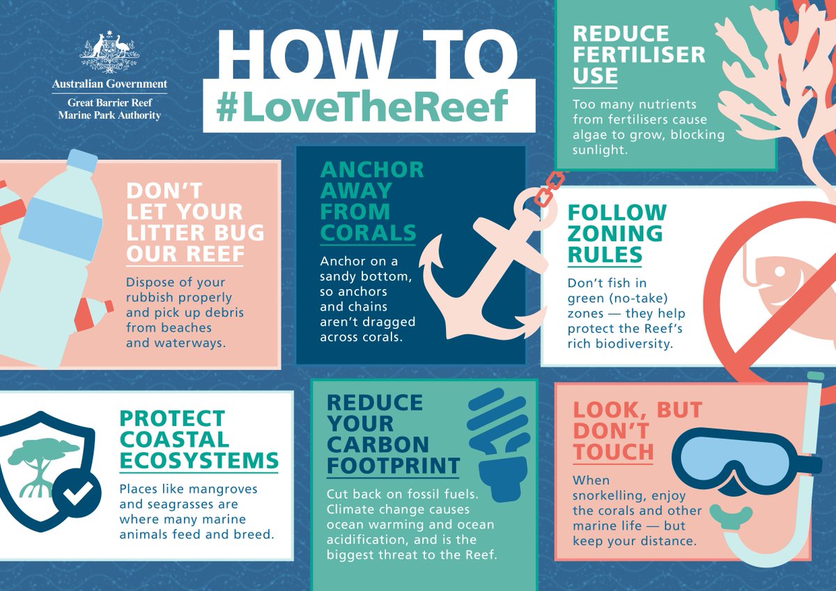 How to help us protect a natural wonder – the big, beautiful and ...