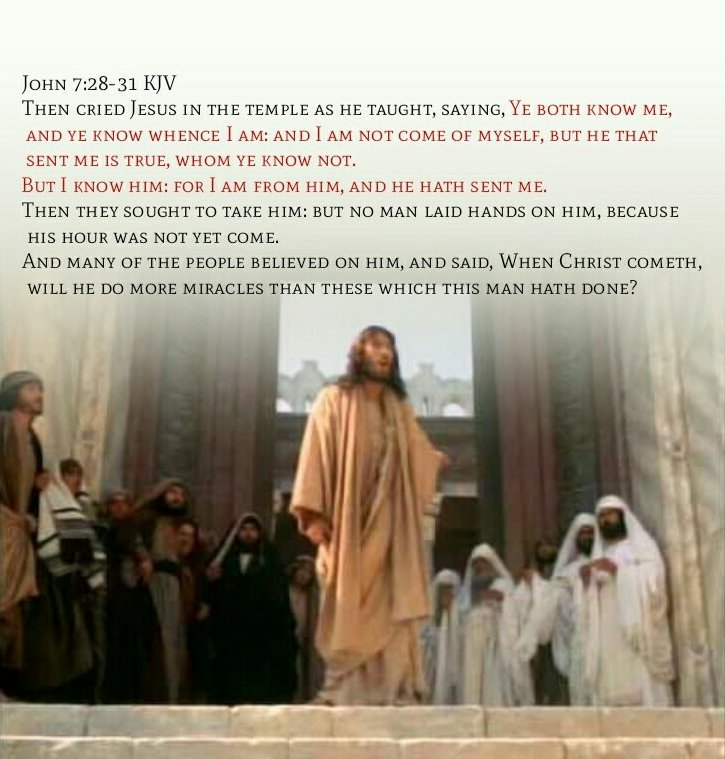 A Perfect Storm – Linda's Bible Study