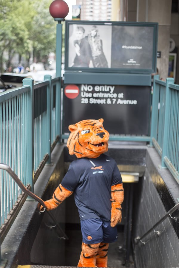 Ny Institute Of Technology Mascot Gnarls, The New School's Mascot,