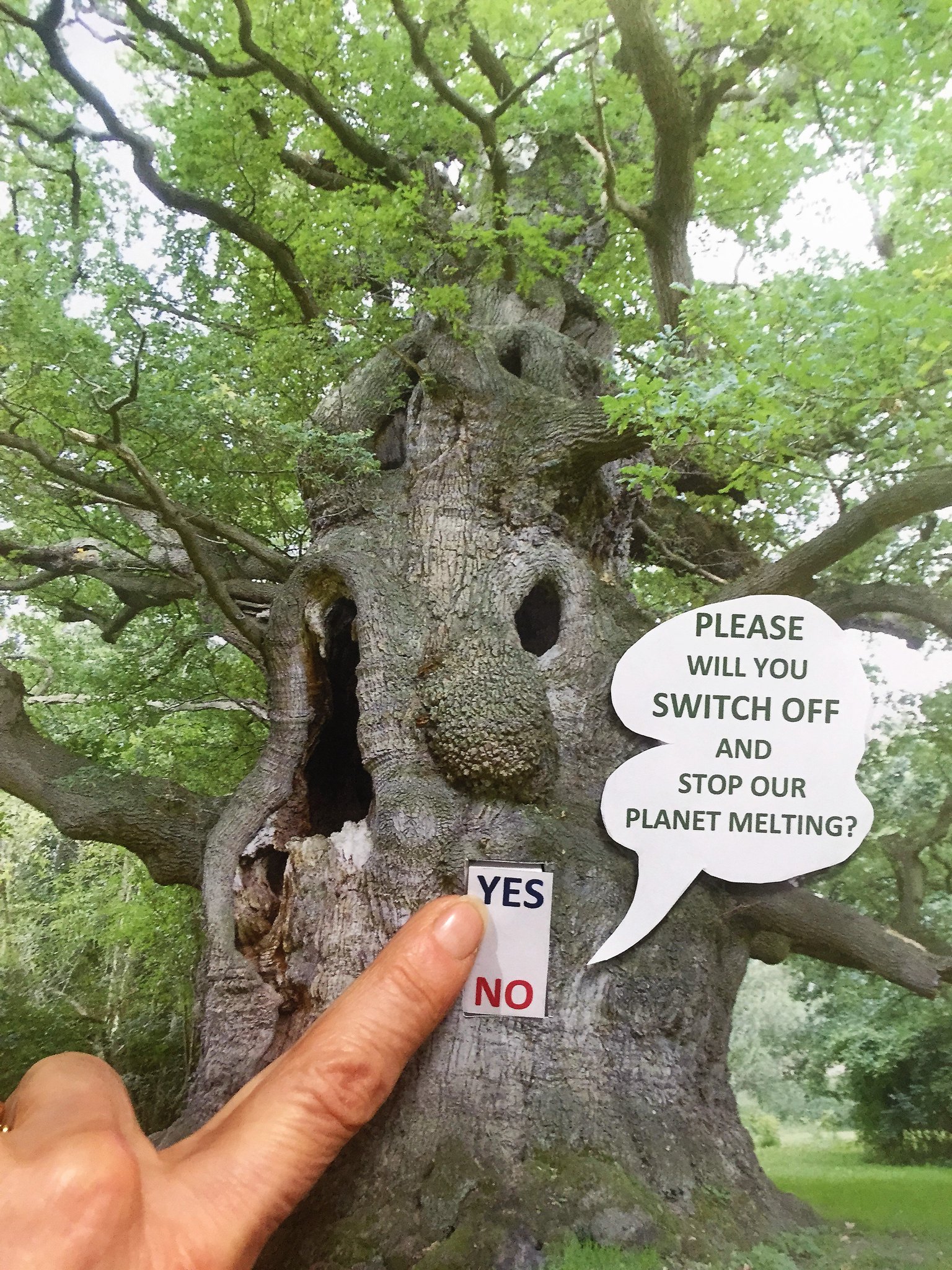 Switch From A Tree