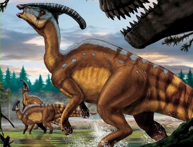 Meet the parasaurolophus, a duckbill dinosaur with a trumpet on its ...