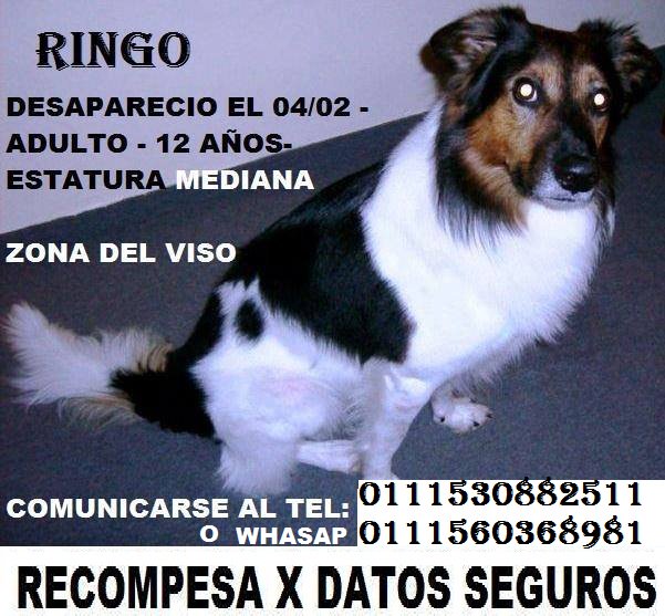 NRCH (@Neracha) | Twitter