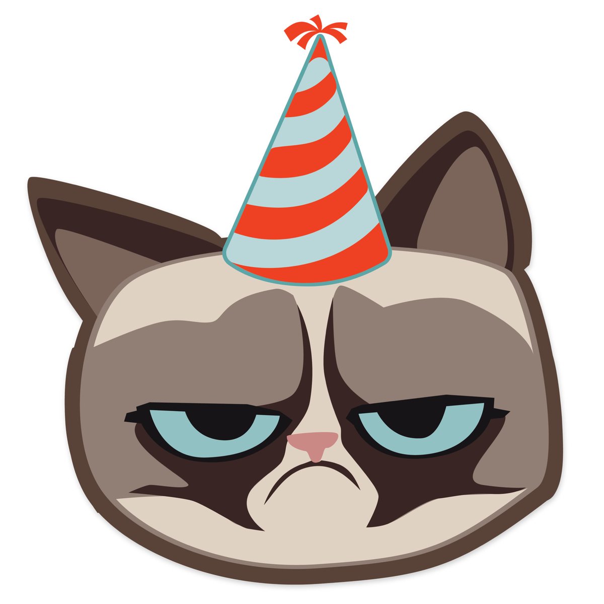 Grumpy Cat Birthday Hat