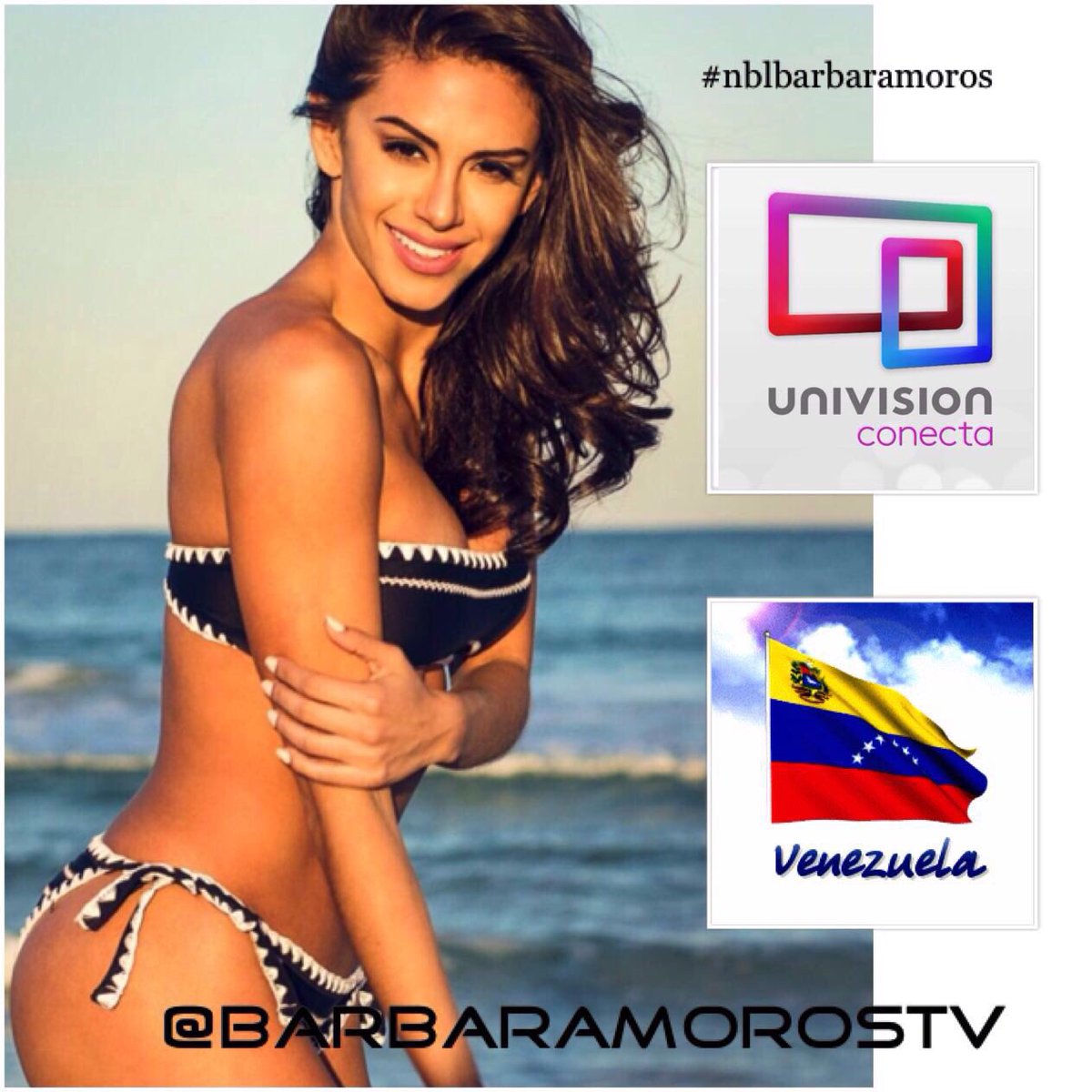 Hola Chiki (@ChikiHola) | Twitter