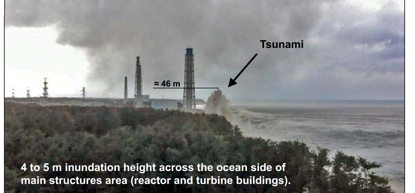 Fukushima Tsunami Height