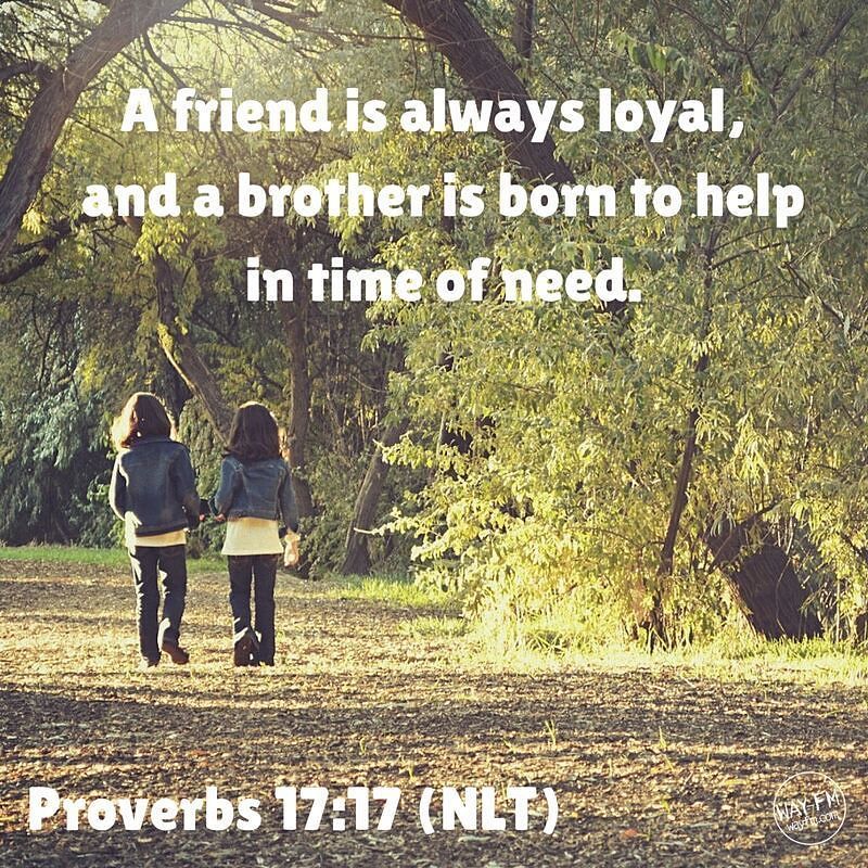 Proverbs 17:17 Nlt
