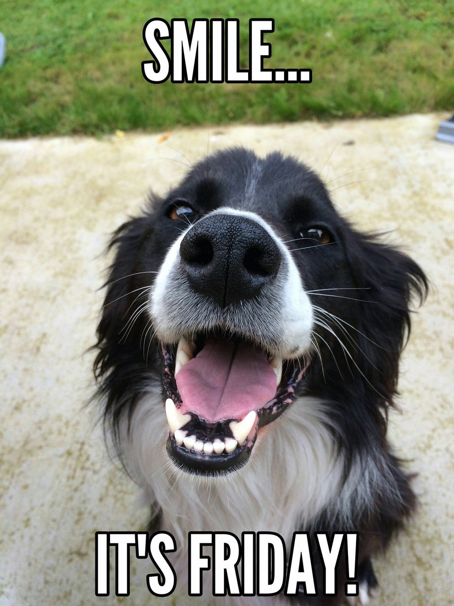 Smile Its Friday Dog