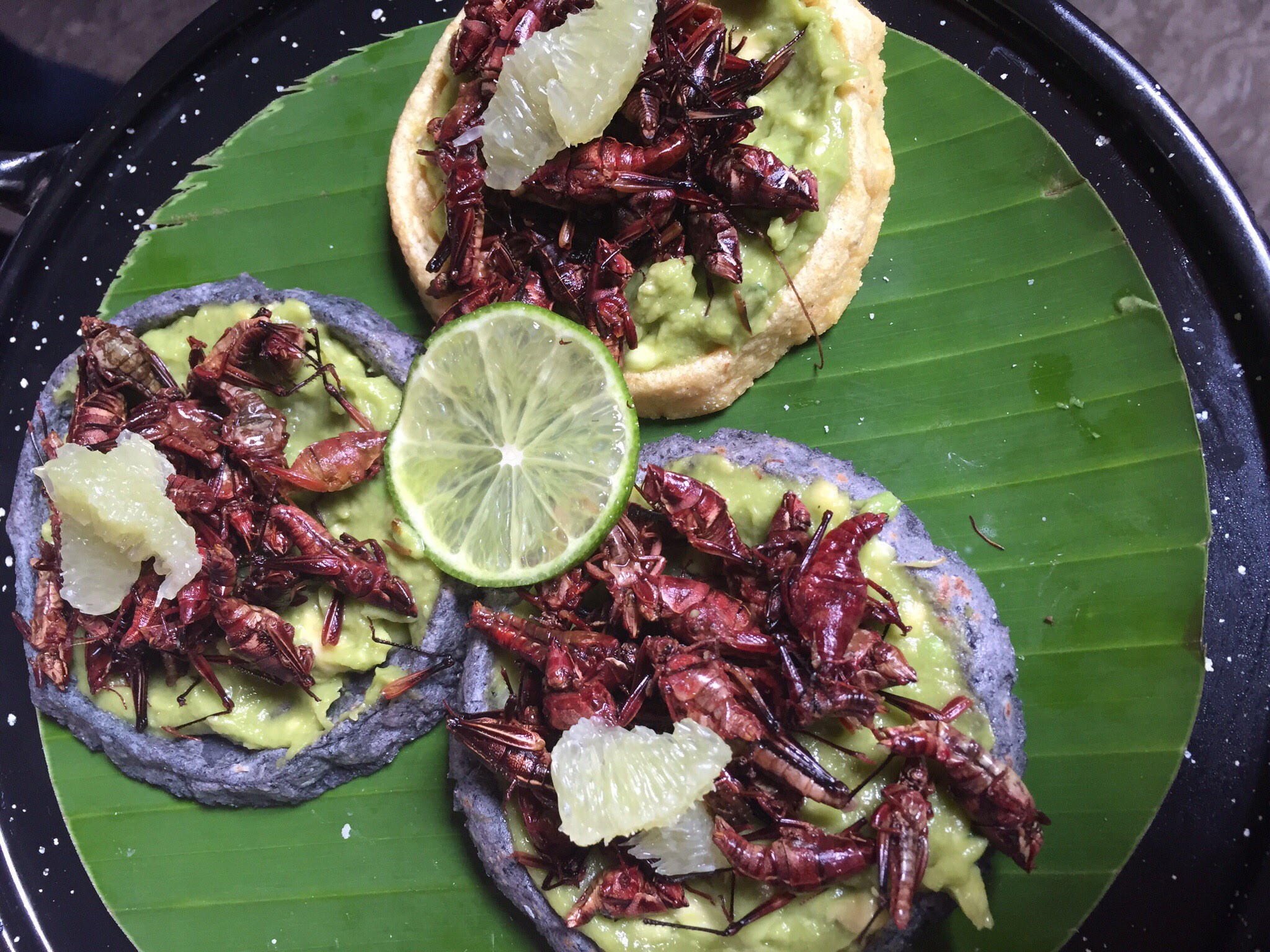 Mexican Fried Grasshoppers