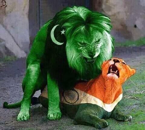 Green Pakistani Lion