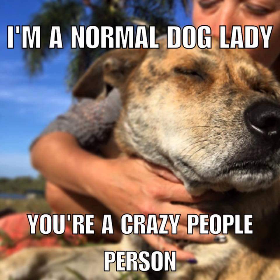 Crazy Dog Lady Meme