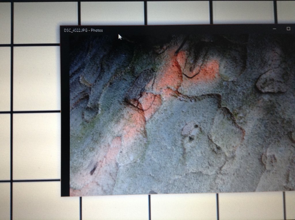 Virtually There Studio CIC on Twitter: "Prepping for #LivePrint at 5PM in Arras today, 4PM GMT # ...