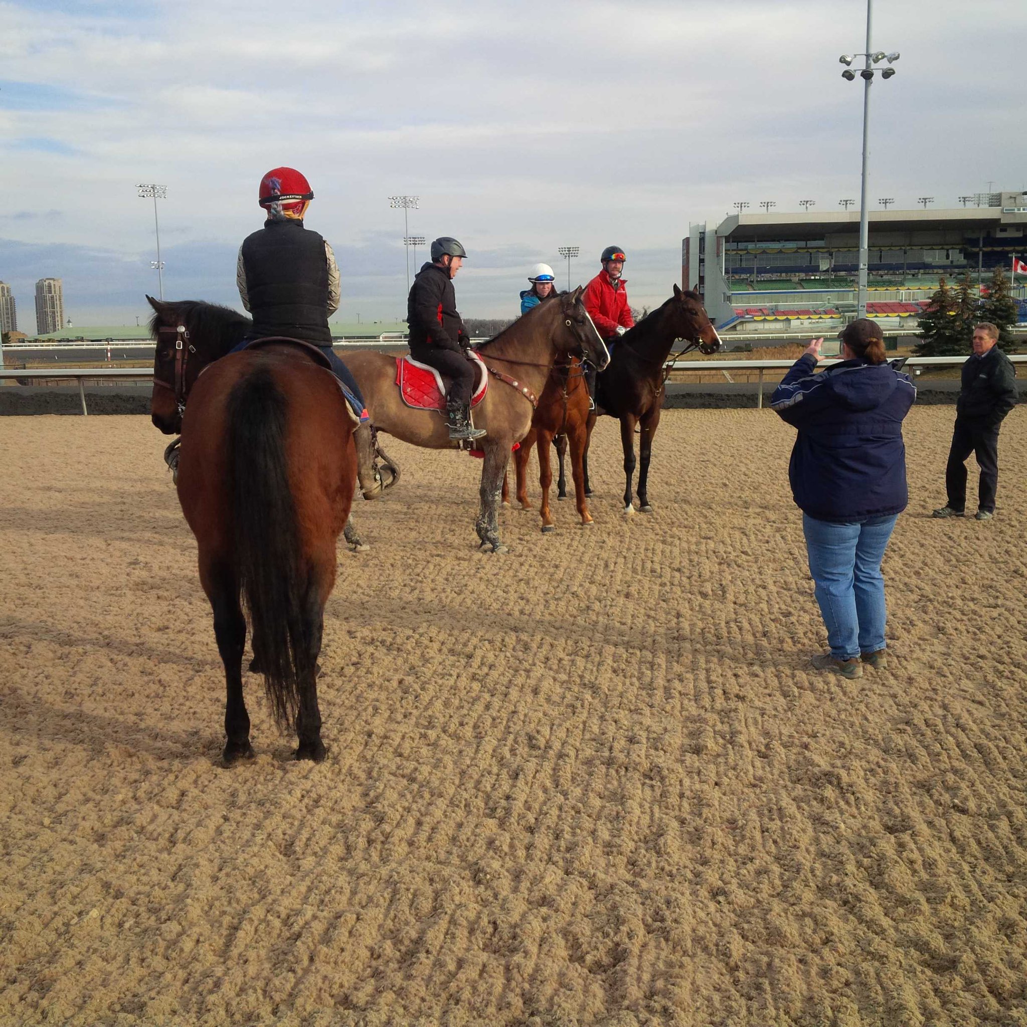 TAPETA – Canadian Thoroughbred