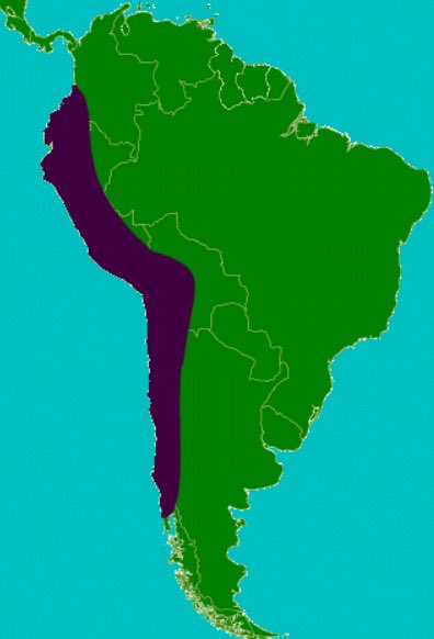 Inca Empire On World Map