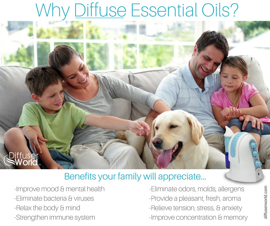 Diffuser World Oil Diffusers (@DiffuserWorldUS) | Twitter