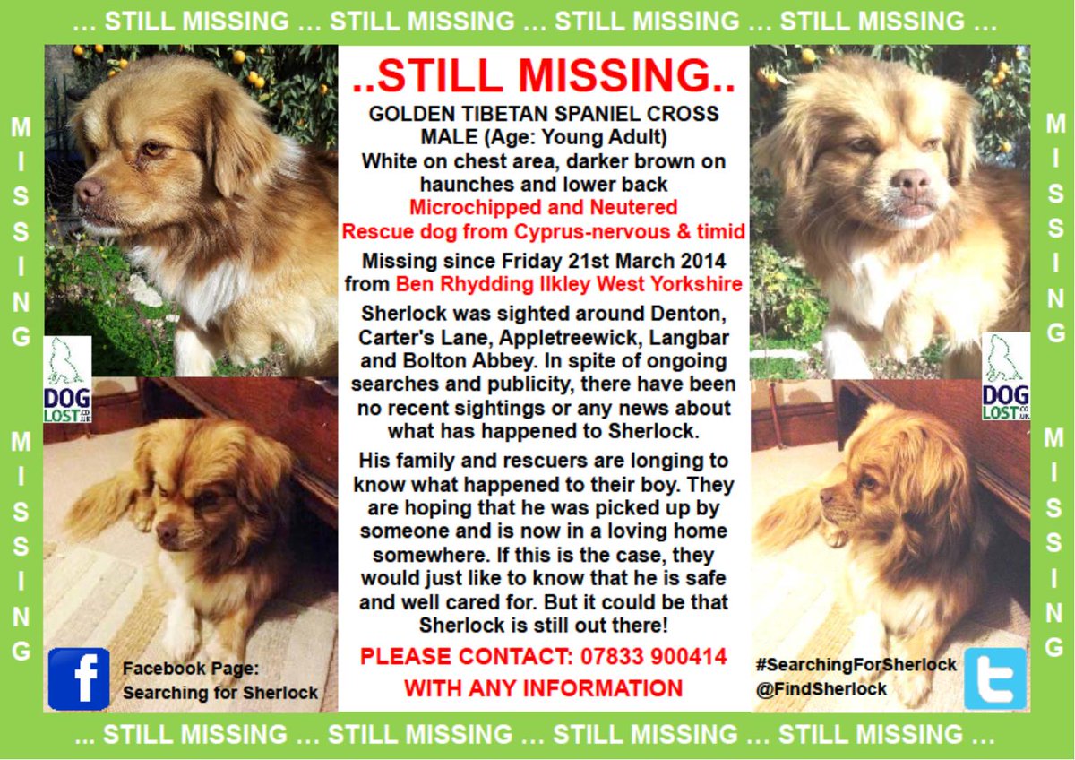Cornwall | Tweets for the UK's Missing Animals