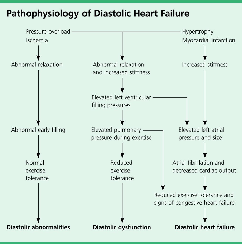 Congestive Heart Failure Pathophysiology