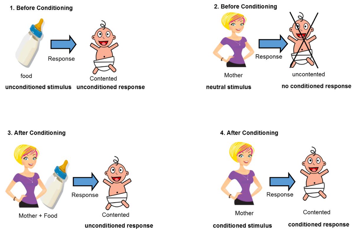 Classical Conditioning Examples Classical Conditioning Examples