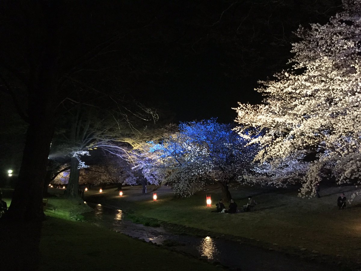 PPPD-746 그녀의 언니는 큰 가슴과 질내 사정 OK로 나를 유혹 마츠나가 사나 - MissAV