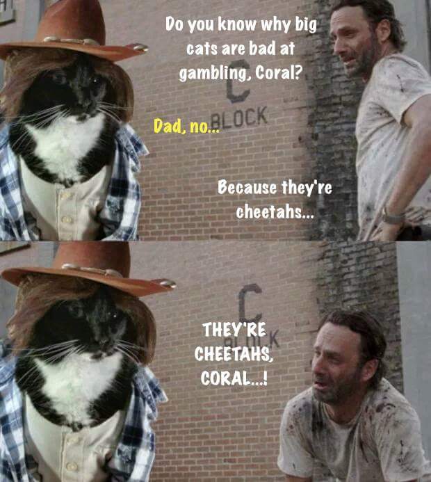 Rick And Carl Coral Meme