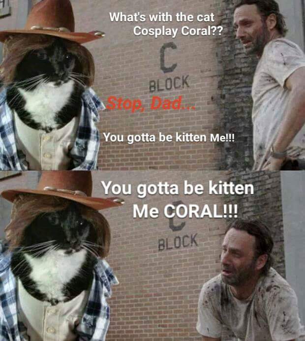 Walking Dead Memes Coral