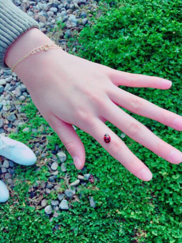 町音葉bot(@oto7_bot) - Twilog