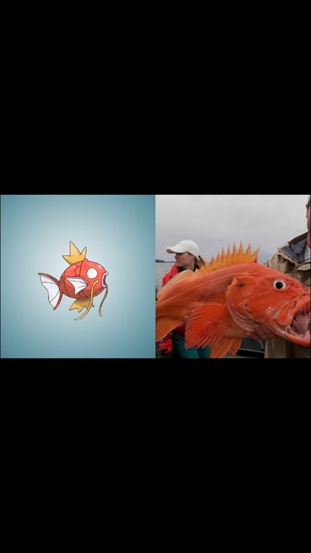 Real Magikarp