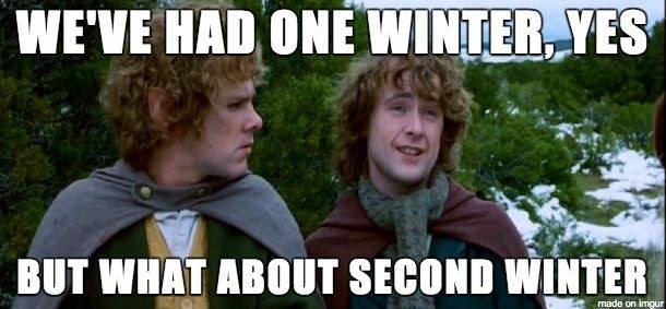 Second Winter Meme