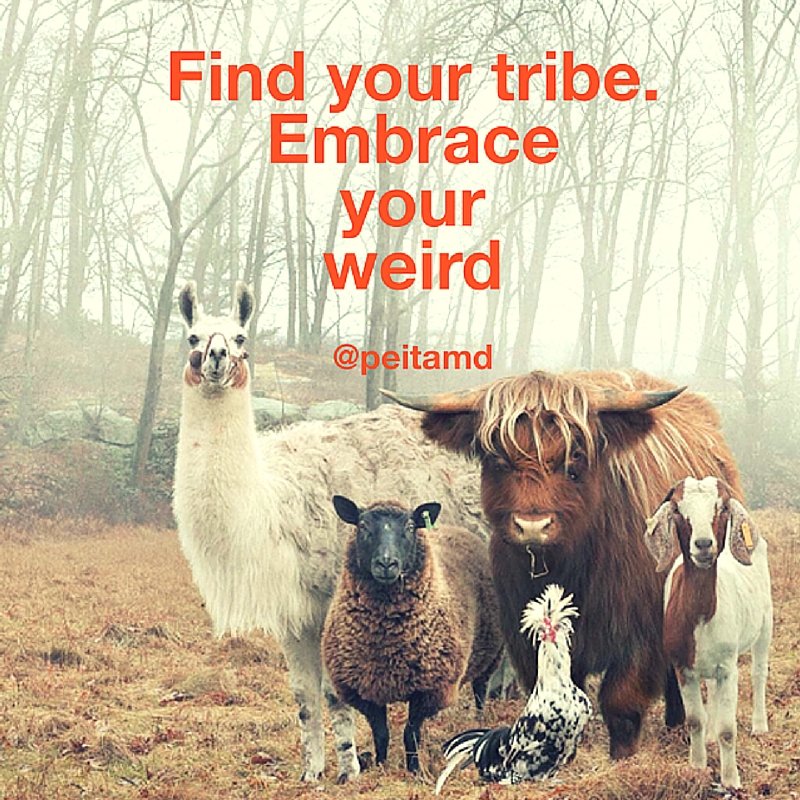 Weird Tribe Memes 35 Relatable Memes That Everyone's Probably