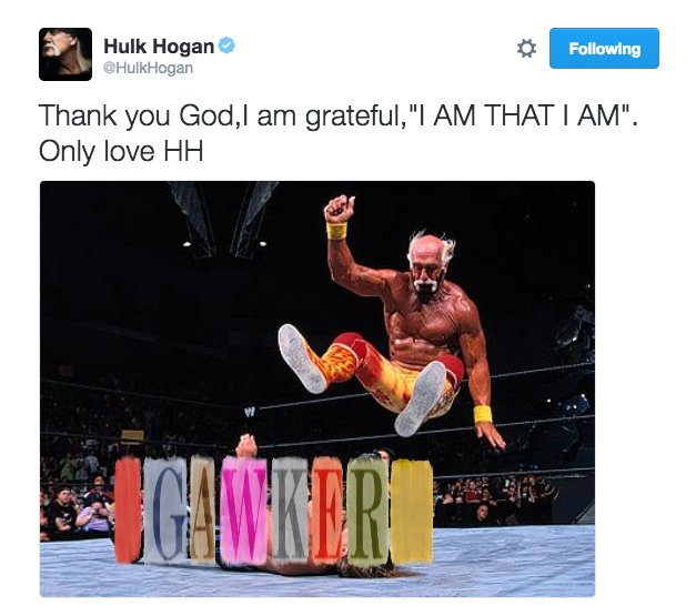 Gawker Hulk Hogan