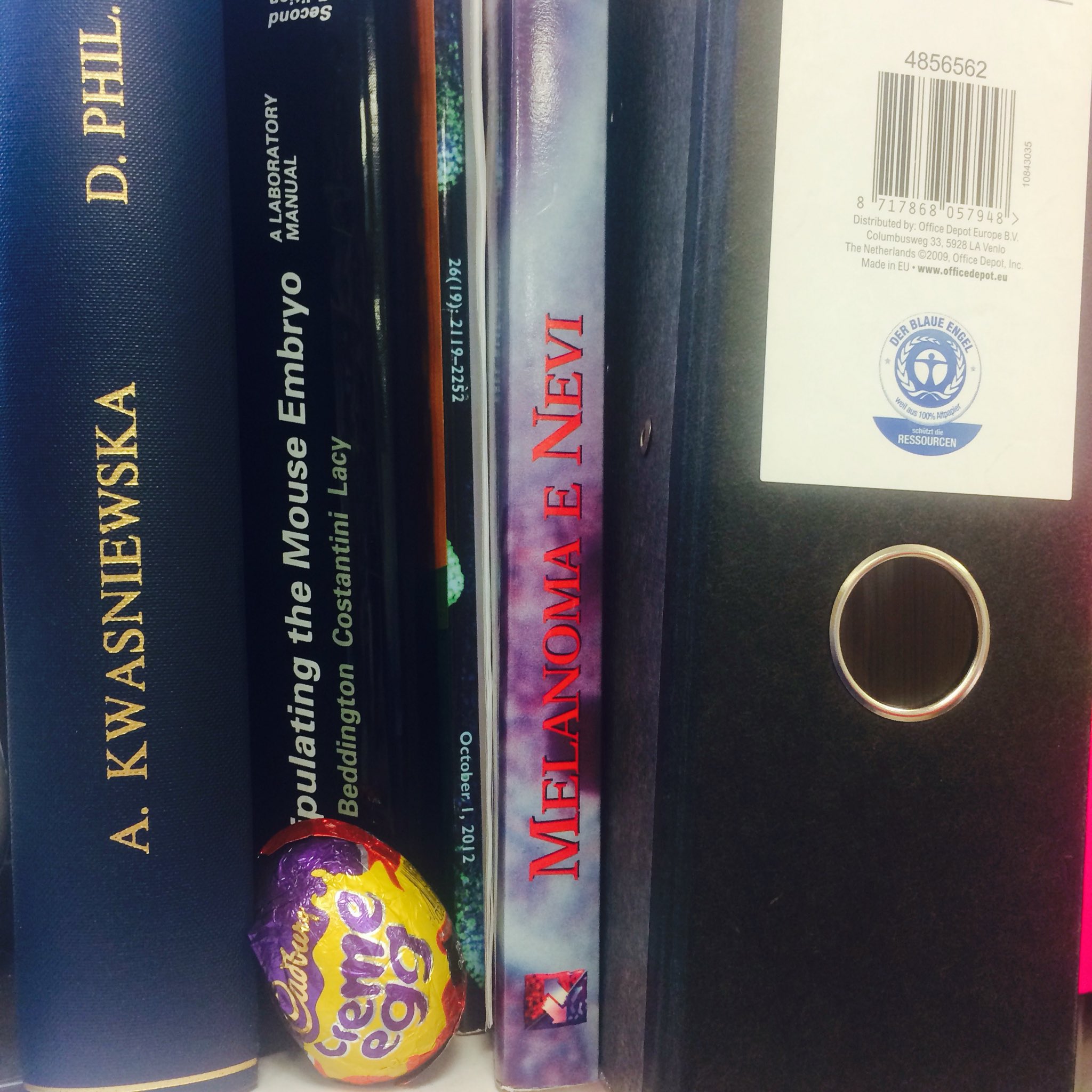 Sauka-Spengler Lab on Twitter: "Looks like the #Easter #Bunny came ...