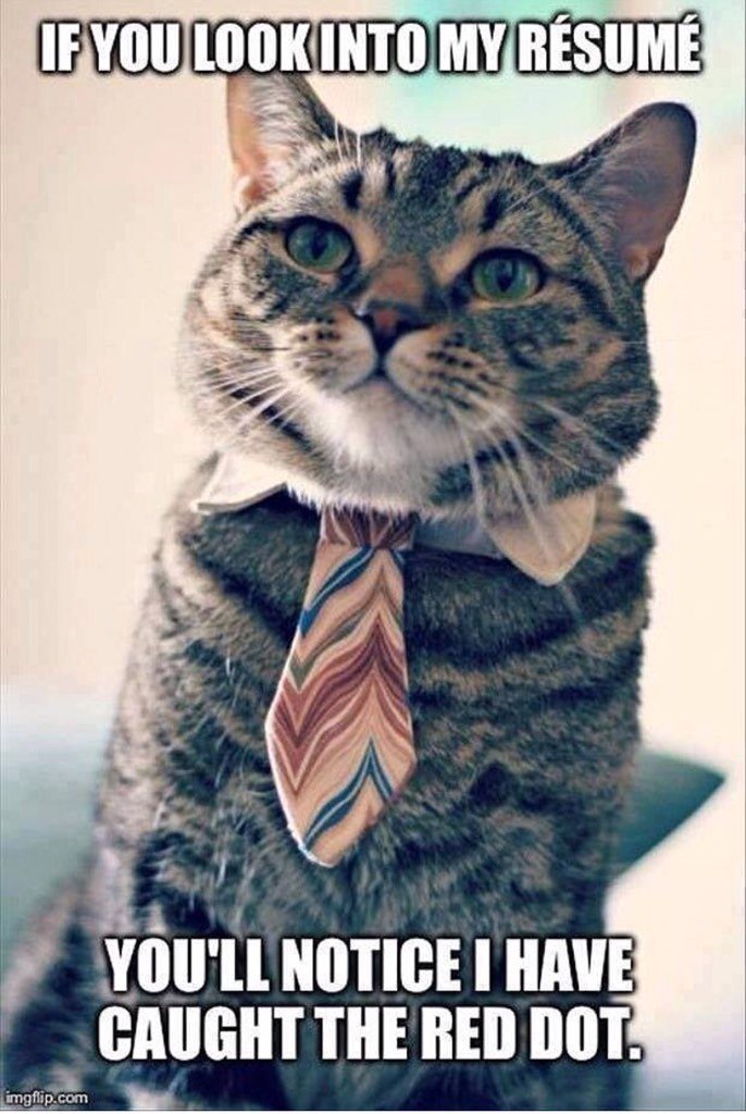 Good Job Animal Meme