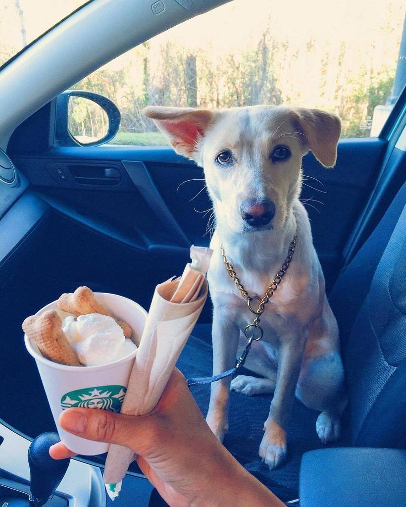 Jaymee Hindawi (@Jaymski) | Twitter