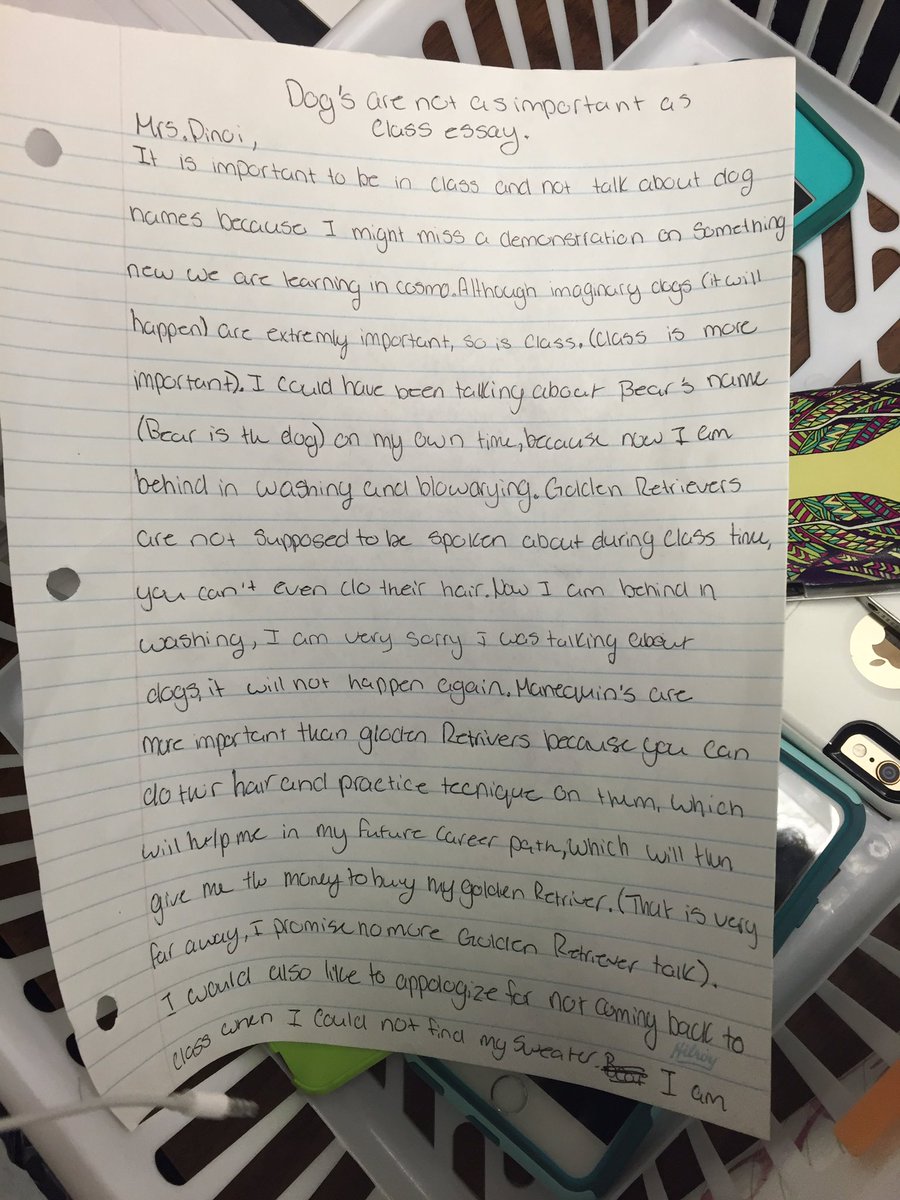 toefl essay never give up