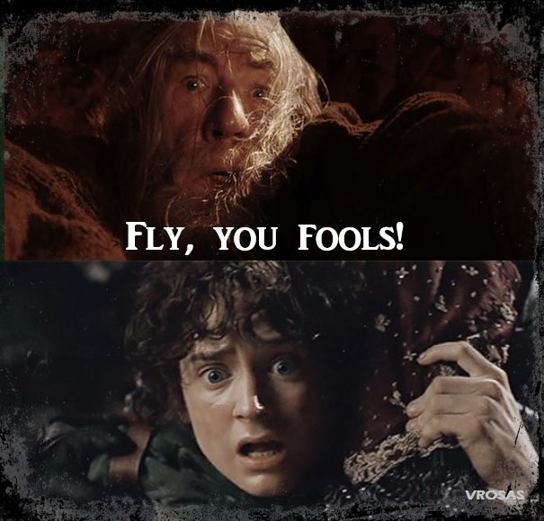 Gandalf Fly You Fools