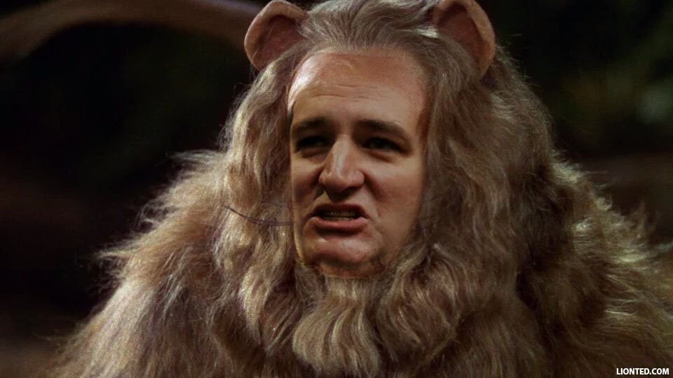 LION TED : r/BetoGotBeato
