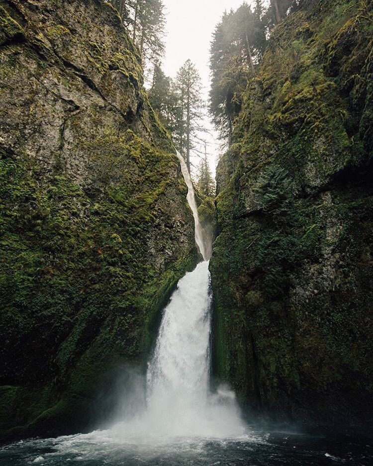 Karyssa Ayala (@Karyssa_Marie) | Twitter