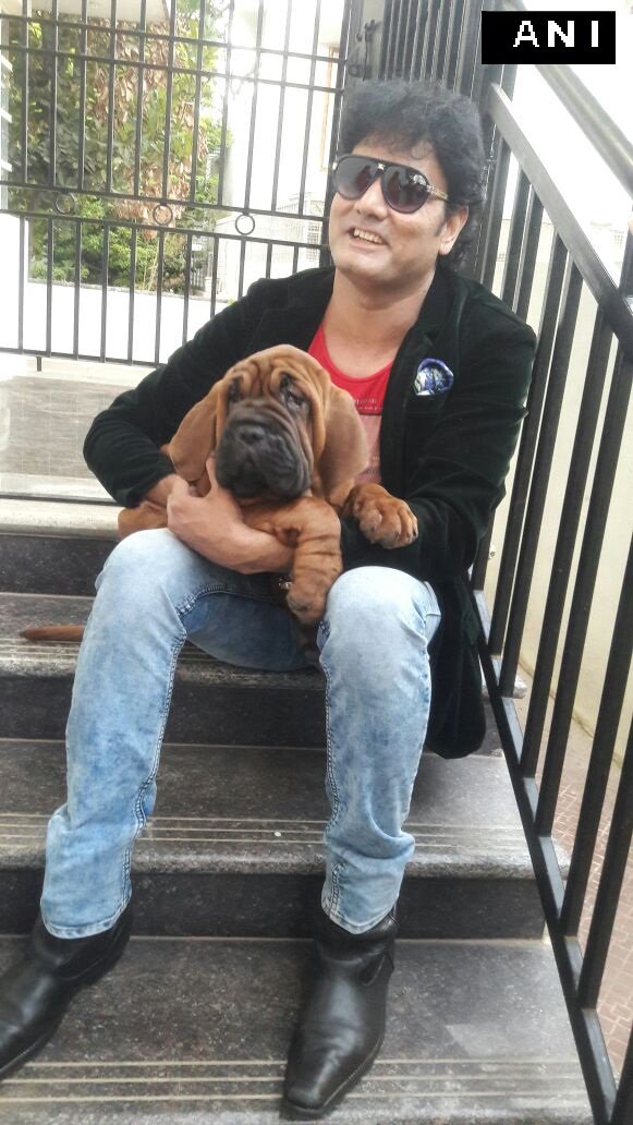 Dog aficionado from bengaluru imports a male & female korean dosa ...