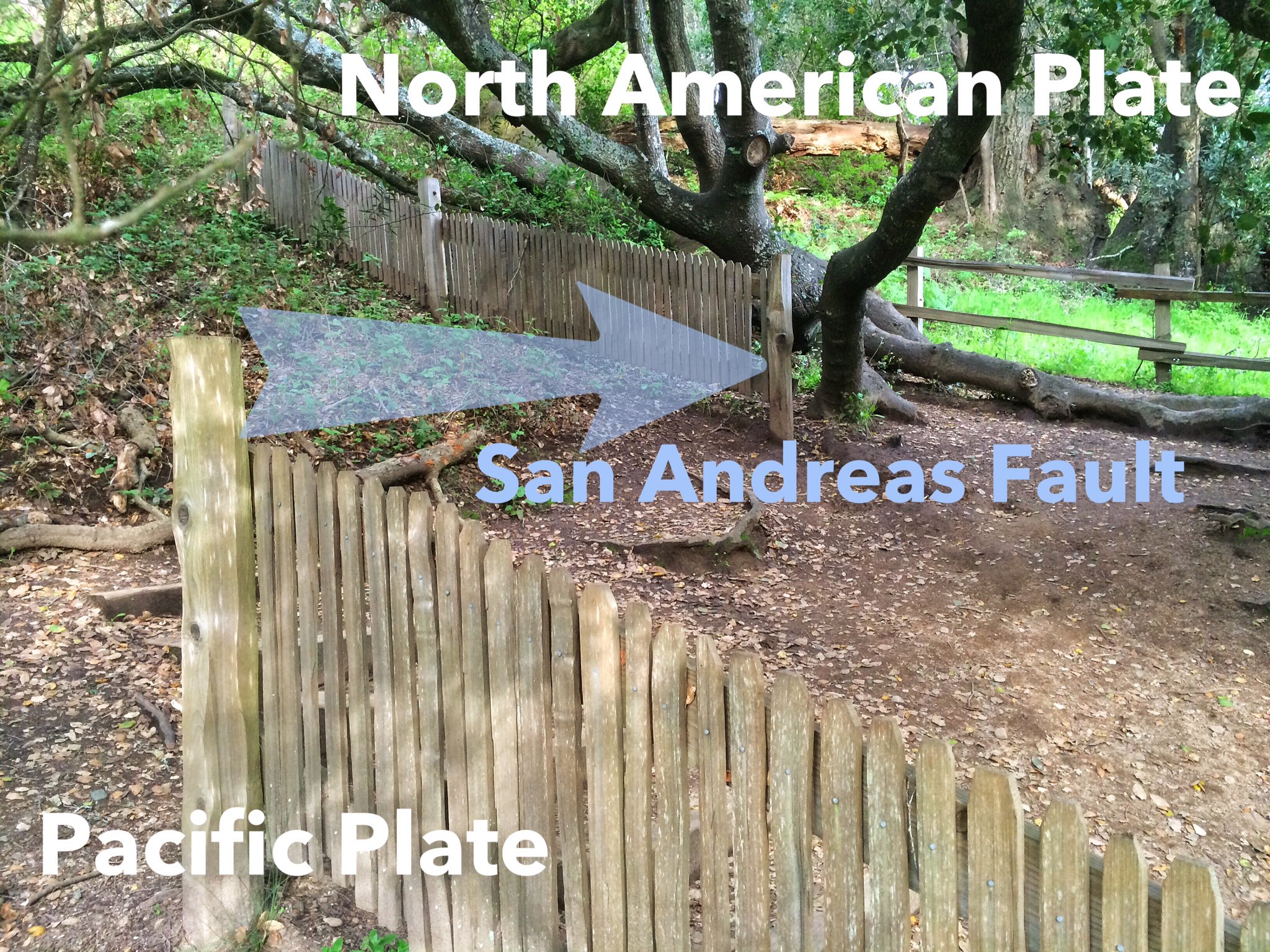 Fault Line Fence Tealing Earth House (2025) All You Need To Know