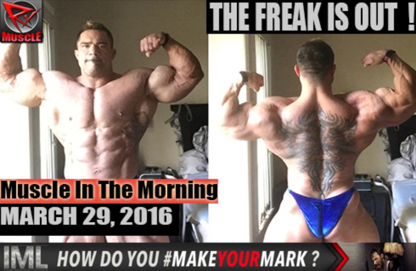 IronMag Labs on Twitter: "MUSCLE IN THE MORNING FOR MARCH 29, 2016 @ https://t.co/es9dUwfeUY ...
