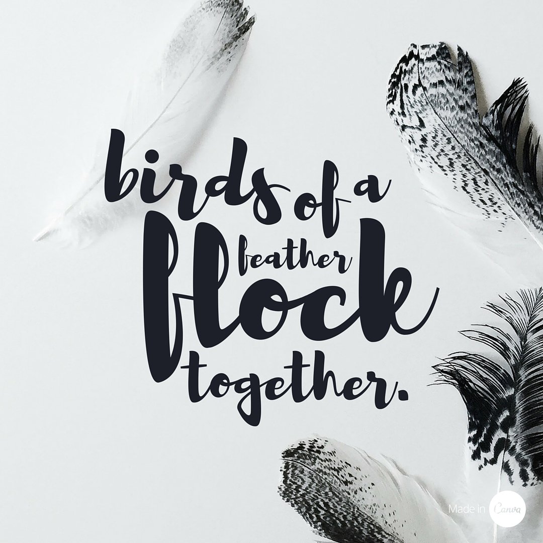 Flock Together Quote