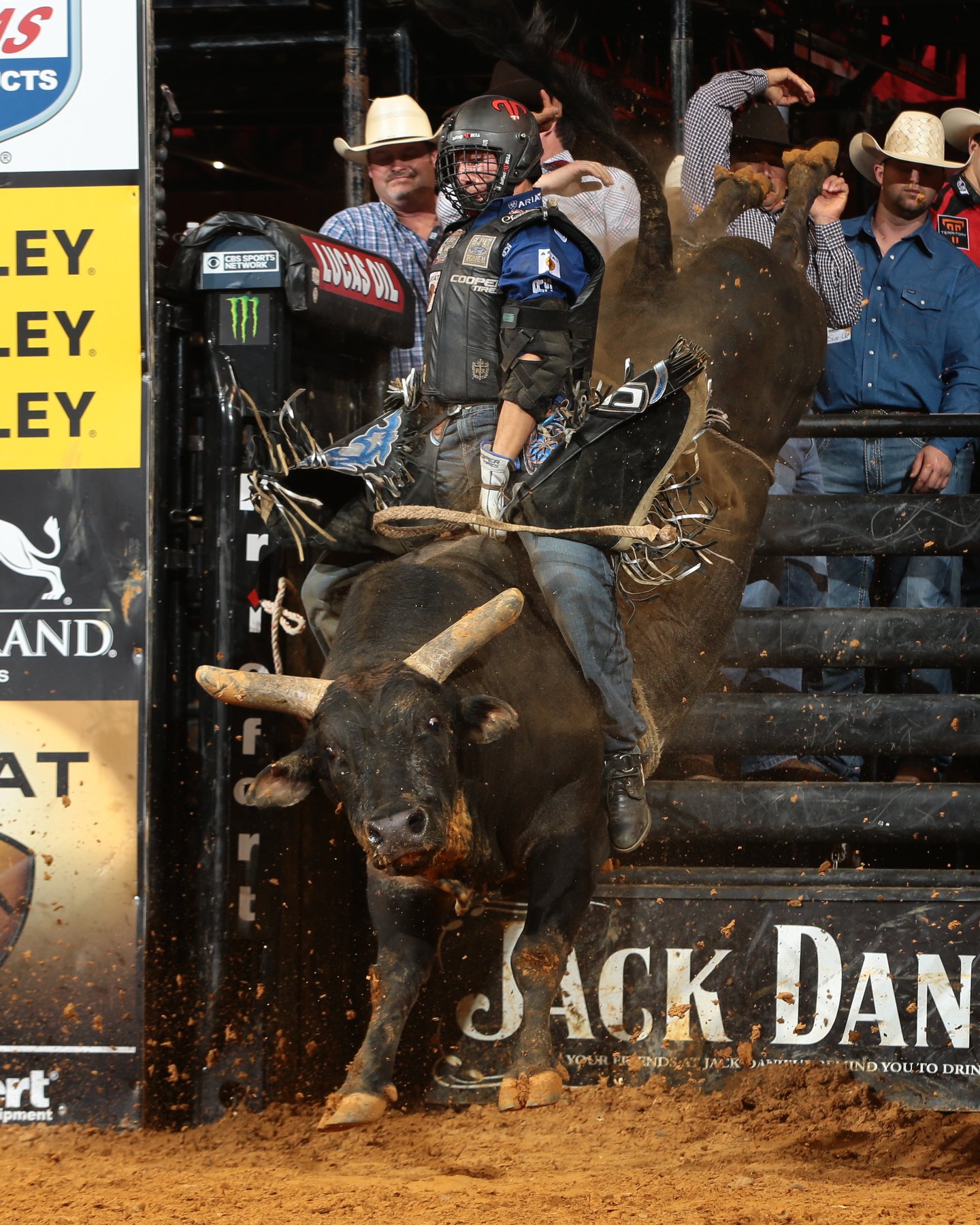 Pbr Bull Riding Wallpaper