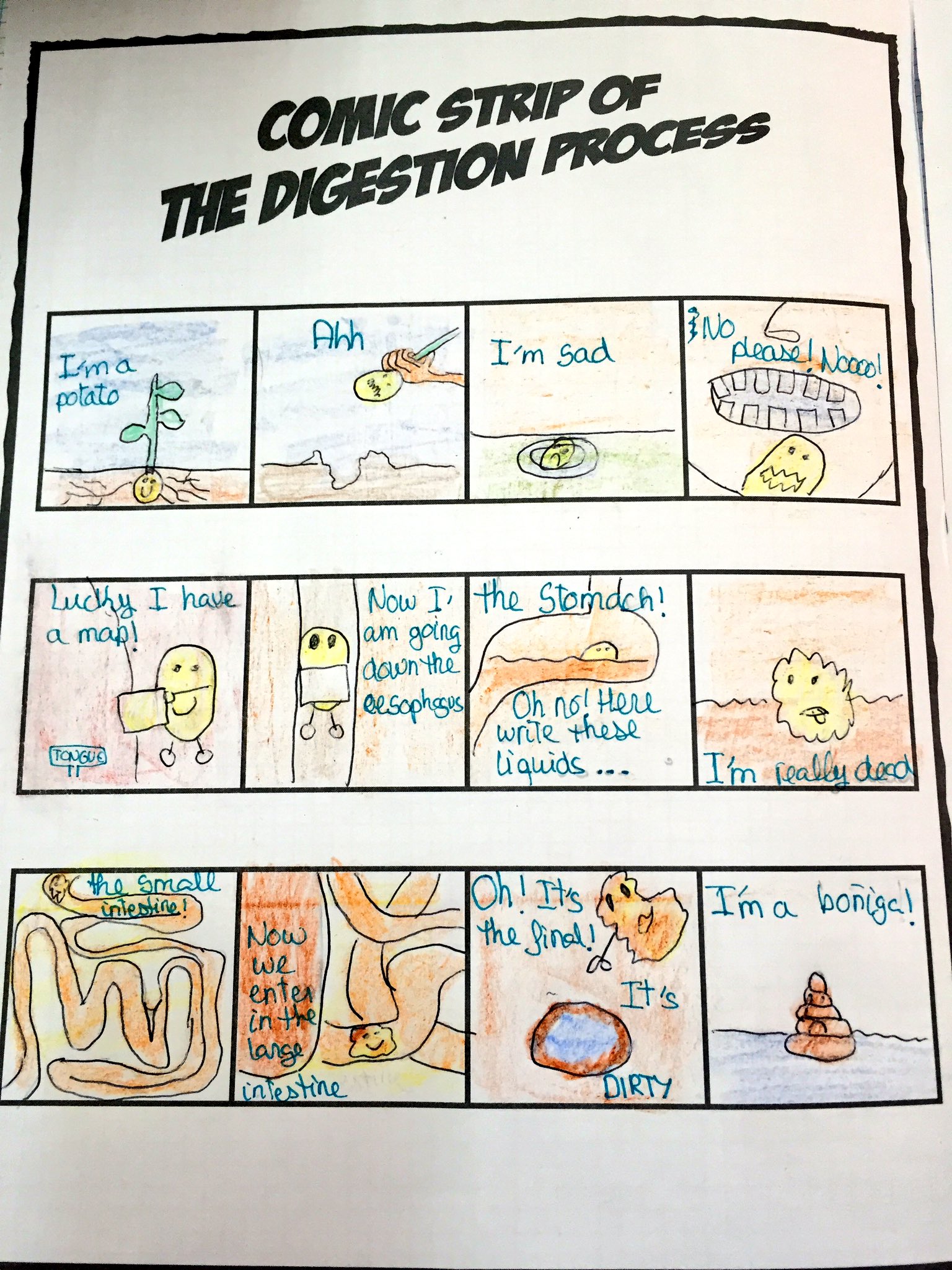 Digestive System Storyboard By Oliversmith Human Digestive System