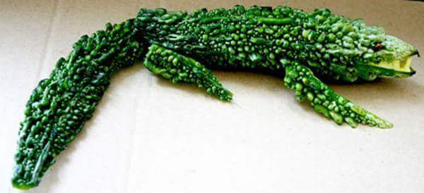 Vegetable Carving With Bitter Gourd Crocodile